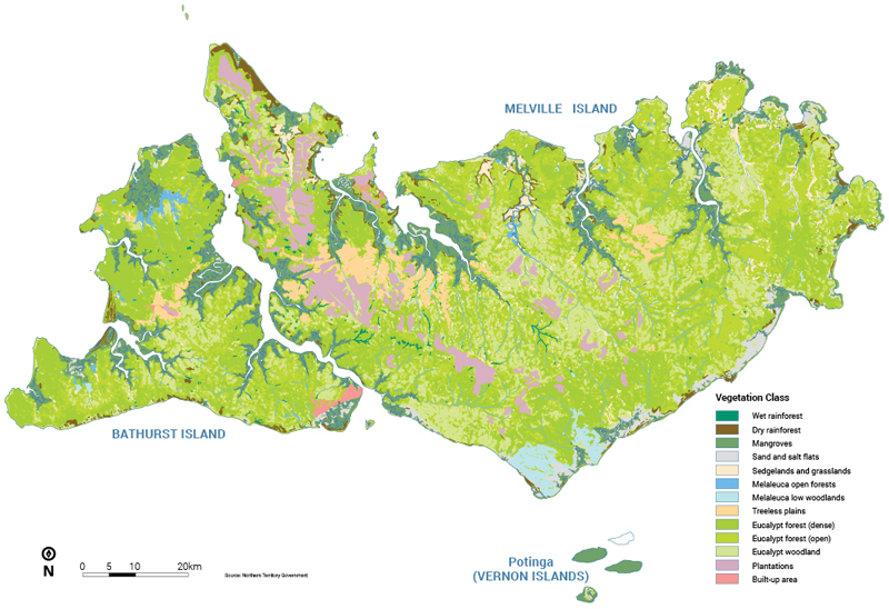Tiwi Land Council Plants